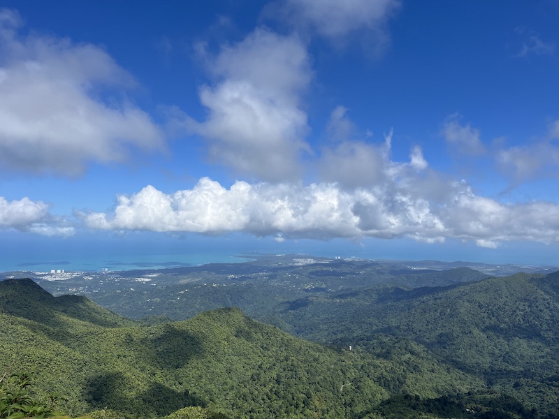 Visiting Puerto Ricos El Yunque Nationwide Forest Migration Trends